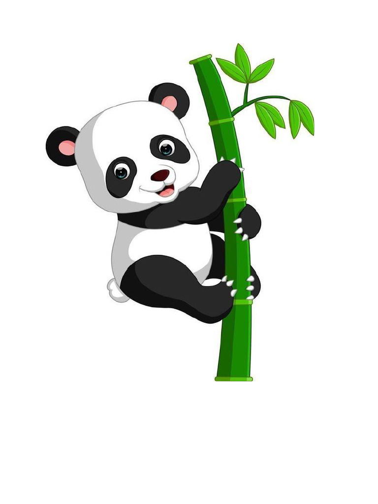 PANDA | PDF
