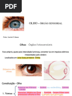 1 - Anatomia e Fisiologia Do Olho | PDF | Olho humano | Córnea