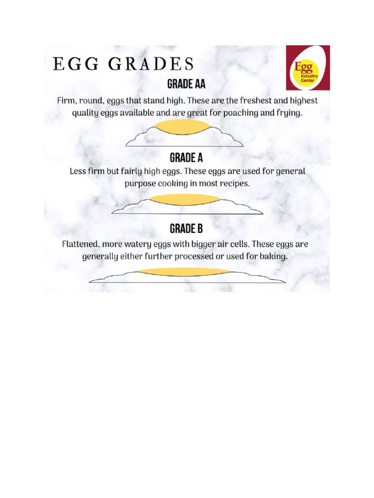 EGGS | PDF