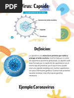 Estructura y función de la cápside viral | PDF | Biología Celular ...