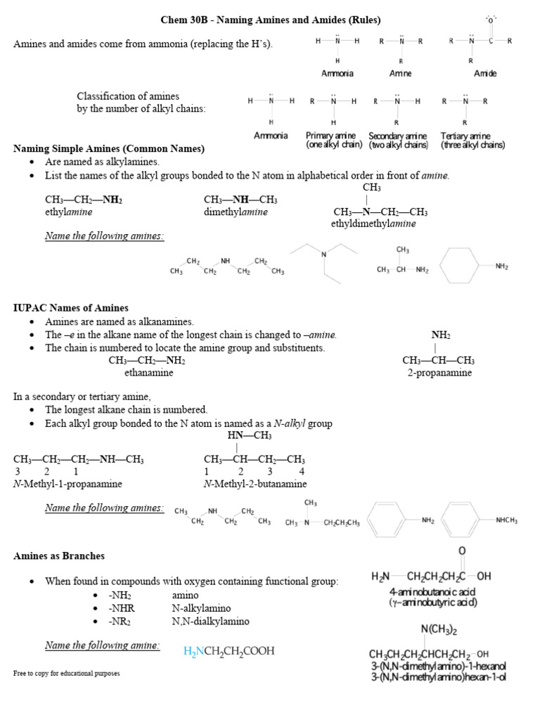 Naming Amines and Amides Rules | PDF | Amine | Organic Compounds