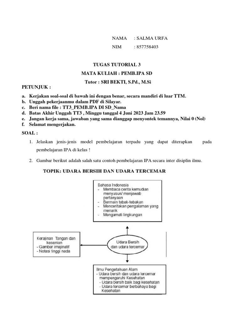 Soal TT3 - PDGK - Pemb - Ipa - Sem 2 | PDF