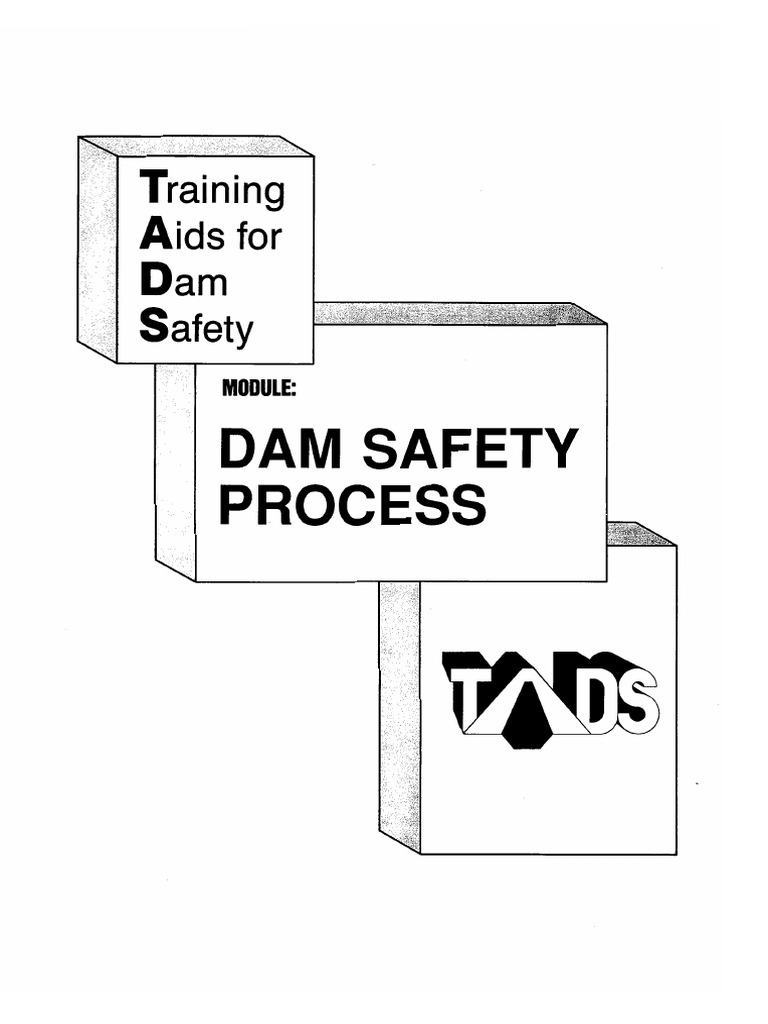 Dam Safety Process | PDF
