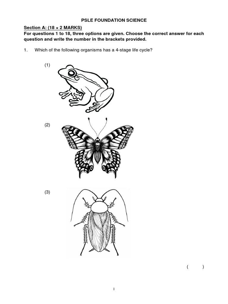 2019 P6 FSC Mendaki PSLE (Full) | PDF | Pollination | Water