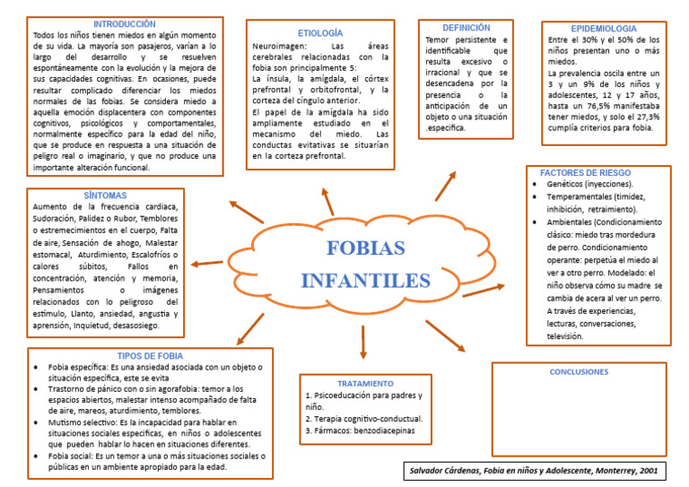 Mapa Conceptual Fobia | PDF | Fobia | Temor