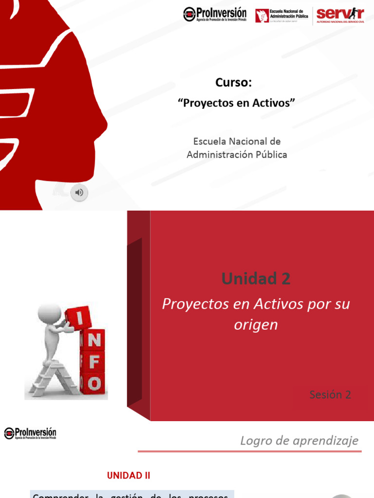 Sesión N°2 - Curso Proyectos en Activos - 2023 | PDF | Planificación ...