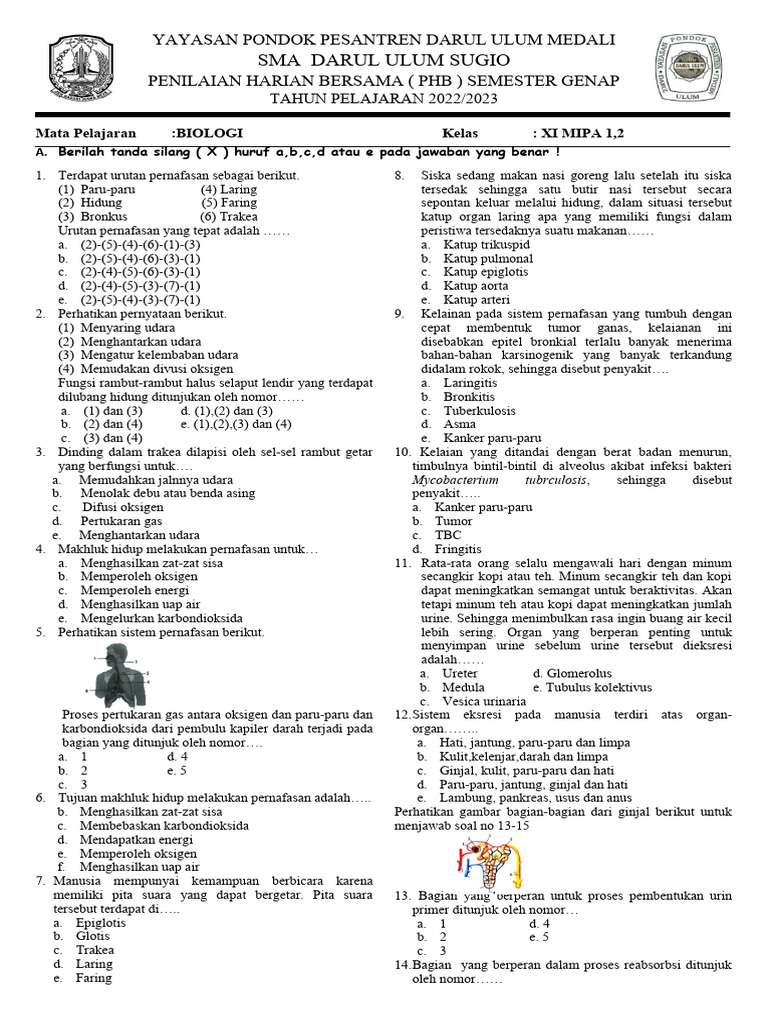 Soal PHB Genap Xi - 2023 | PDF