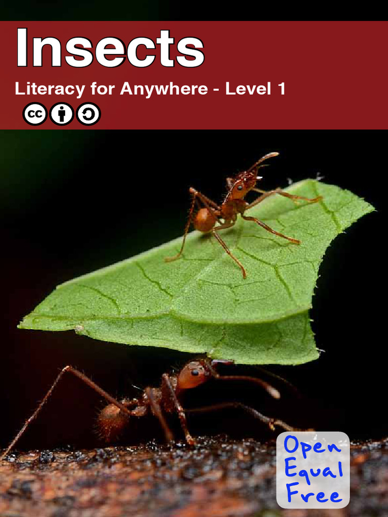 FKB Kids Stories Insects | PDF | Literacy | Reading (Process)