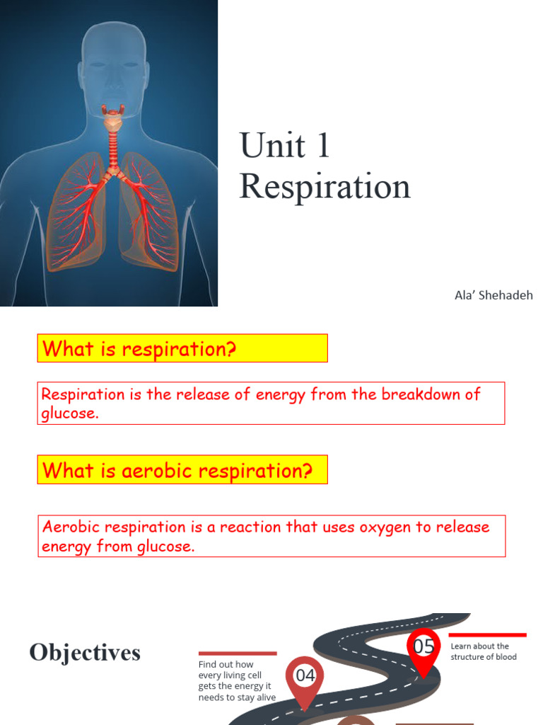 1.1 The Human Respiratory System - 1.2 Gas Exchange - 1.3 Breathing ...