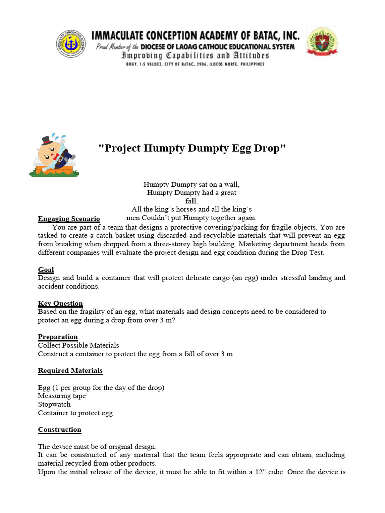 Egg Drop Project | PDF | Newton's Laws Of Motion | Force