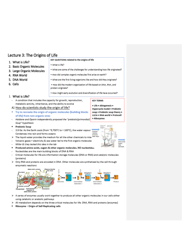 L03 Notes | Download Free PDF | Abiogenesis | Life L03 Notes | Download Free PDF | Abiogenesis | Life