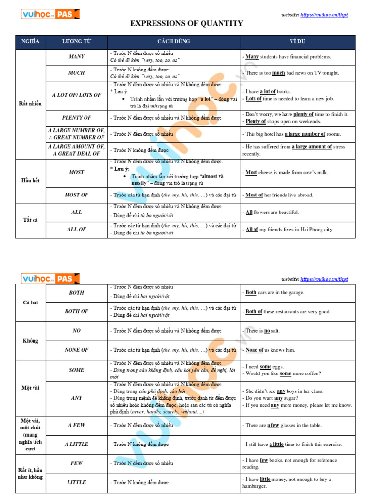 (LÝ THUYẾT - VN) EXPRESSIONS OF QUANTITY | PDF