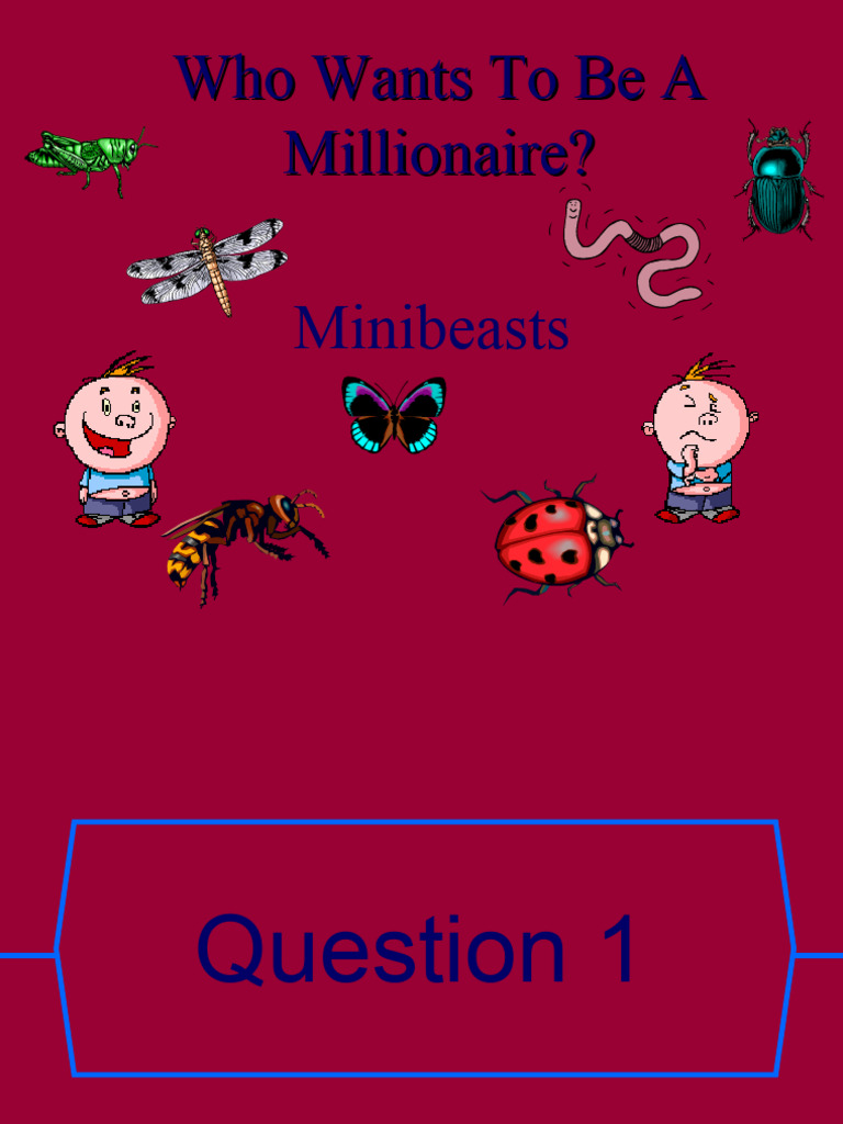 Minibeasts Wwtbam CW | PDF | Predation | Spider