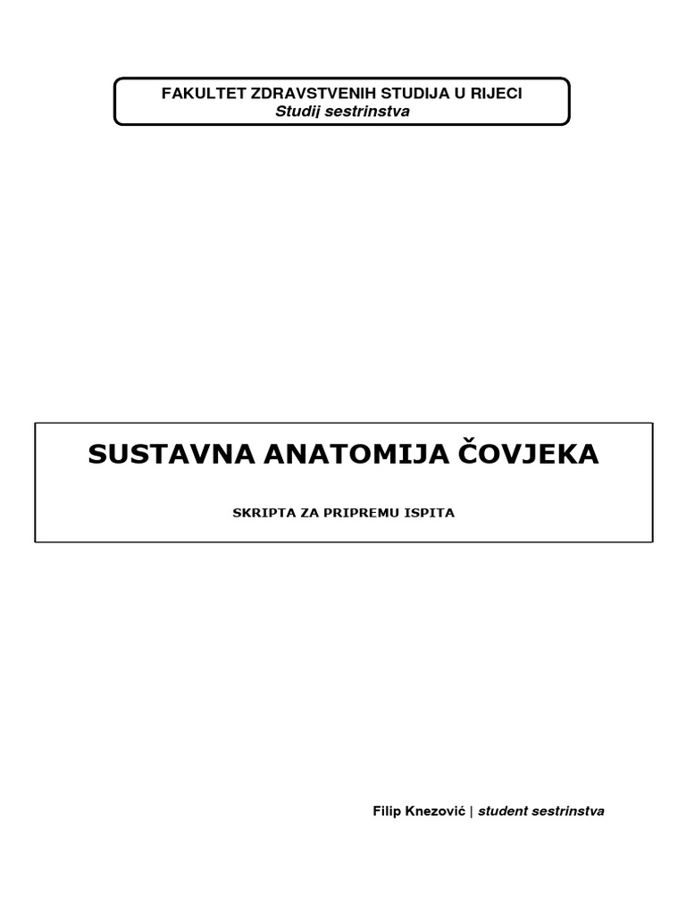 Sustavna Anatomija Covjeka Skripta | PDF