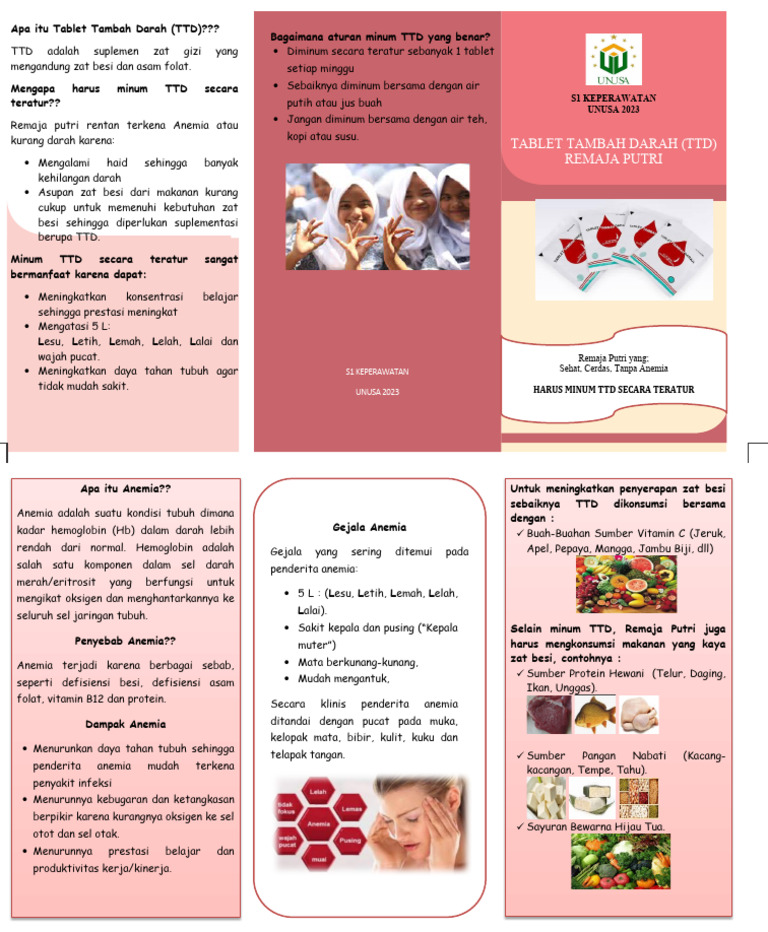 Leaflet Penambah Darah Remaja | PDF