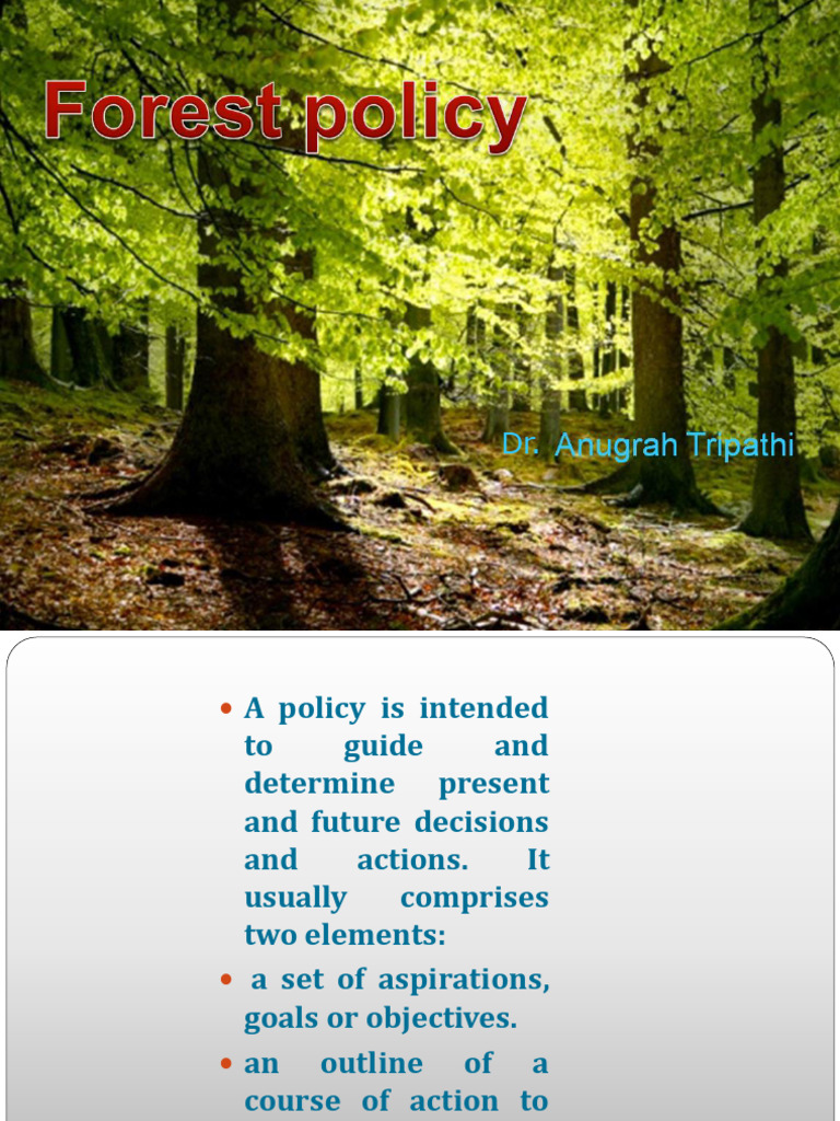 Forest Policy | Download Free PDF | Forestry | Agriculture