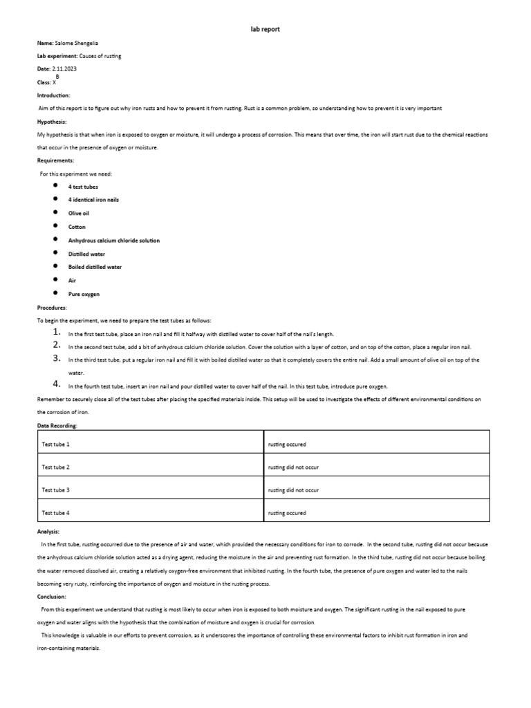 Lab Report | PDF | Rust | Corrosion