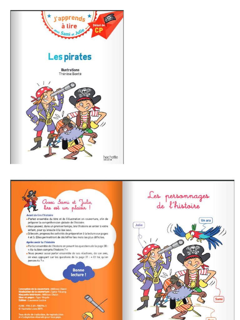 N1-17 Les Pirates | PDF