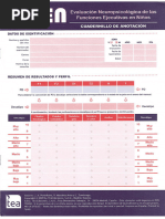 Protocolo-CUMANES X 2 DE CALIFICACION CUMANES PDF | PDF