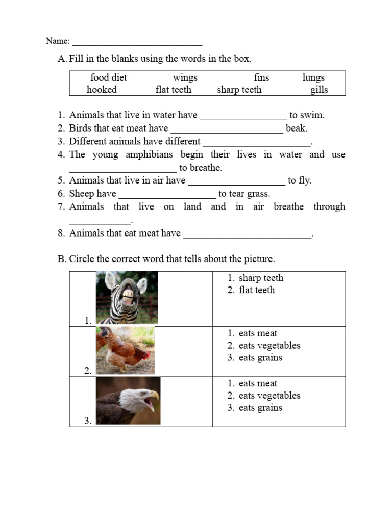Science Test | PDF | Beak | Meat