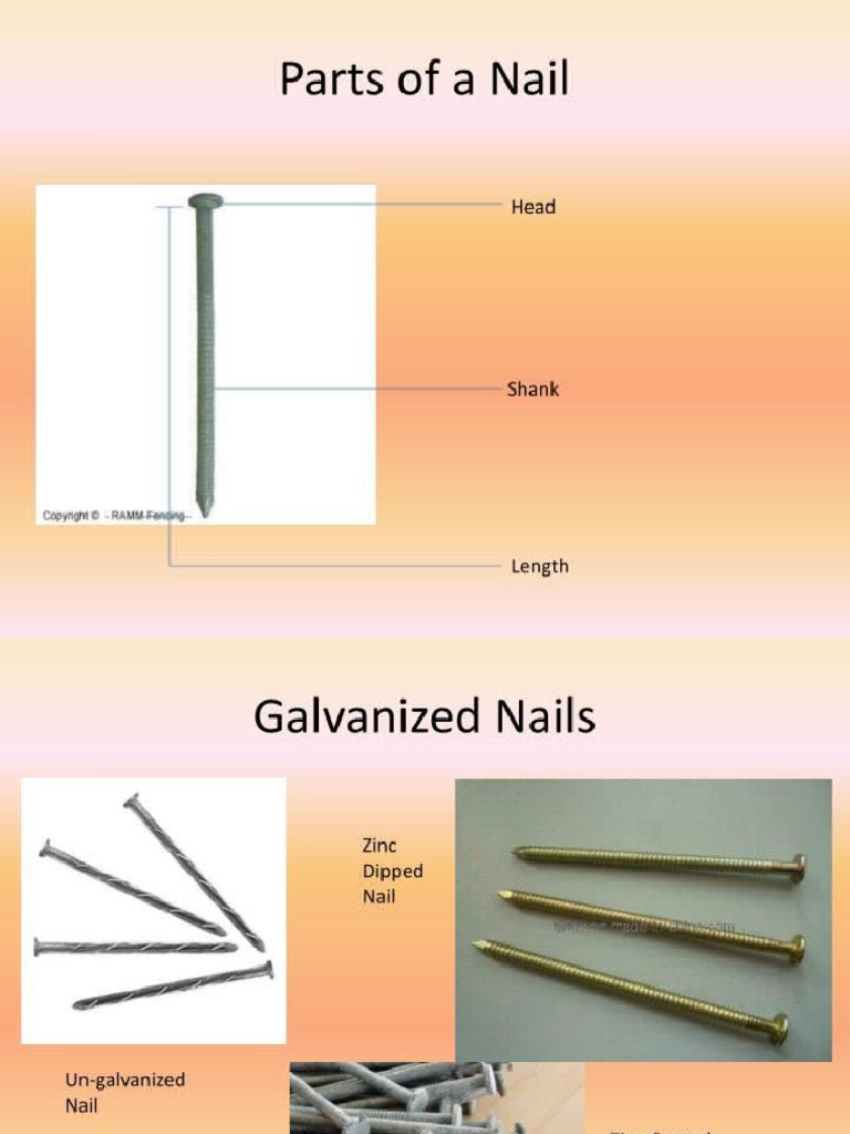 Types of Nails | PDF