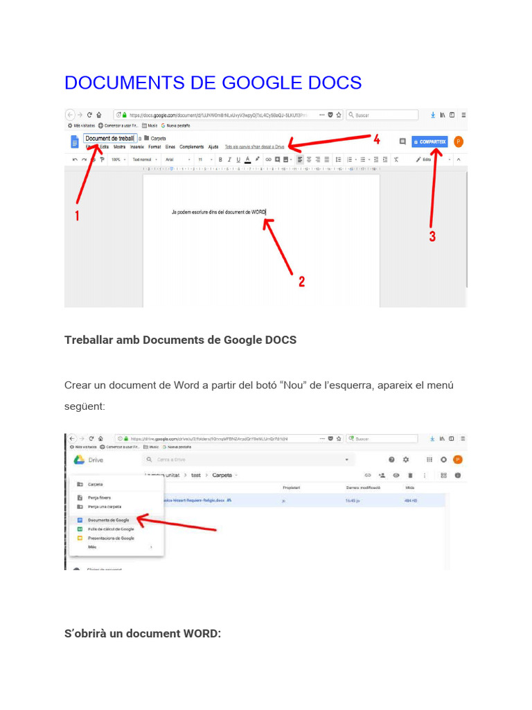 Documents de Google Docs | PDF