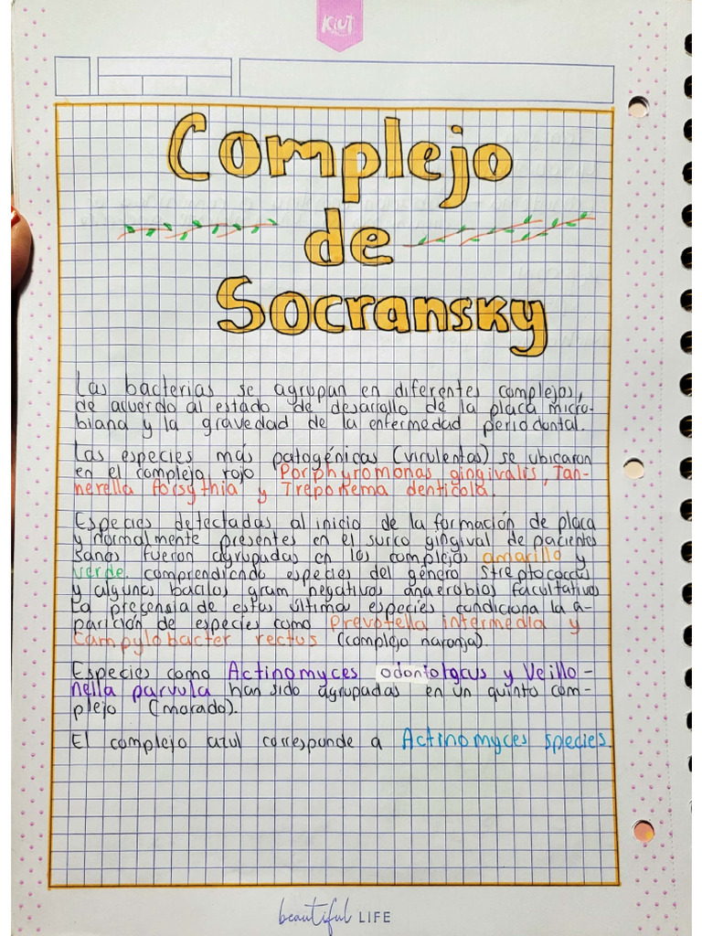 Complejo y Pirámide de Socransky | PDF