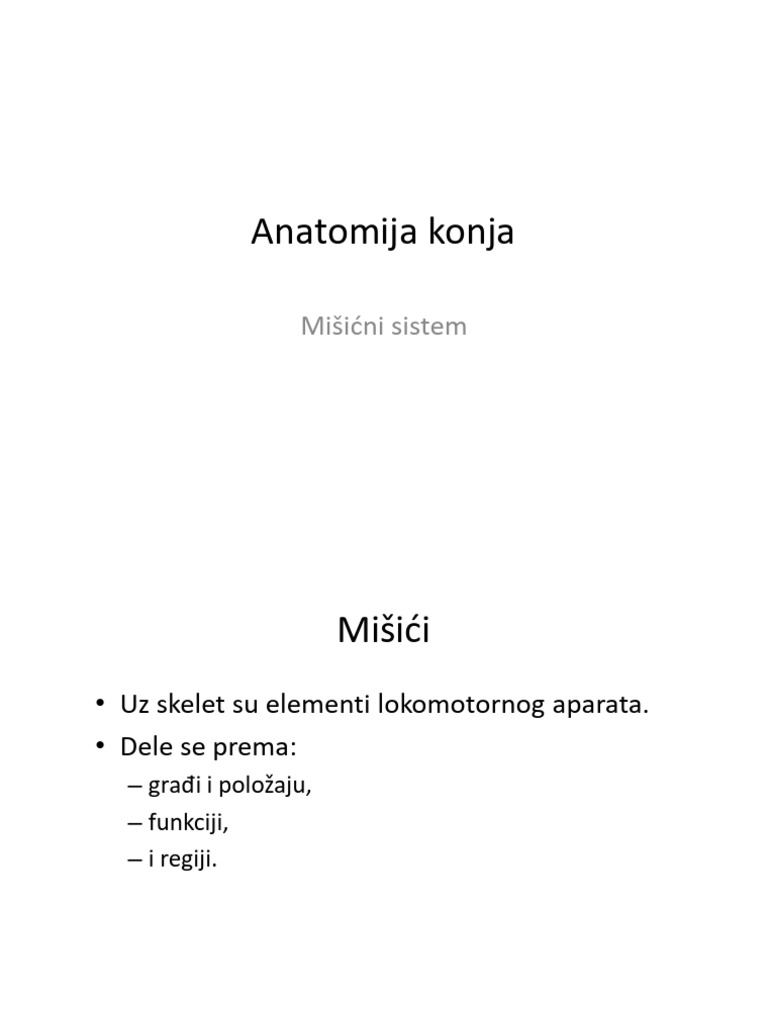 0004 Anatomija Konja Sistemi Organa | PDF