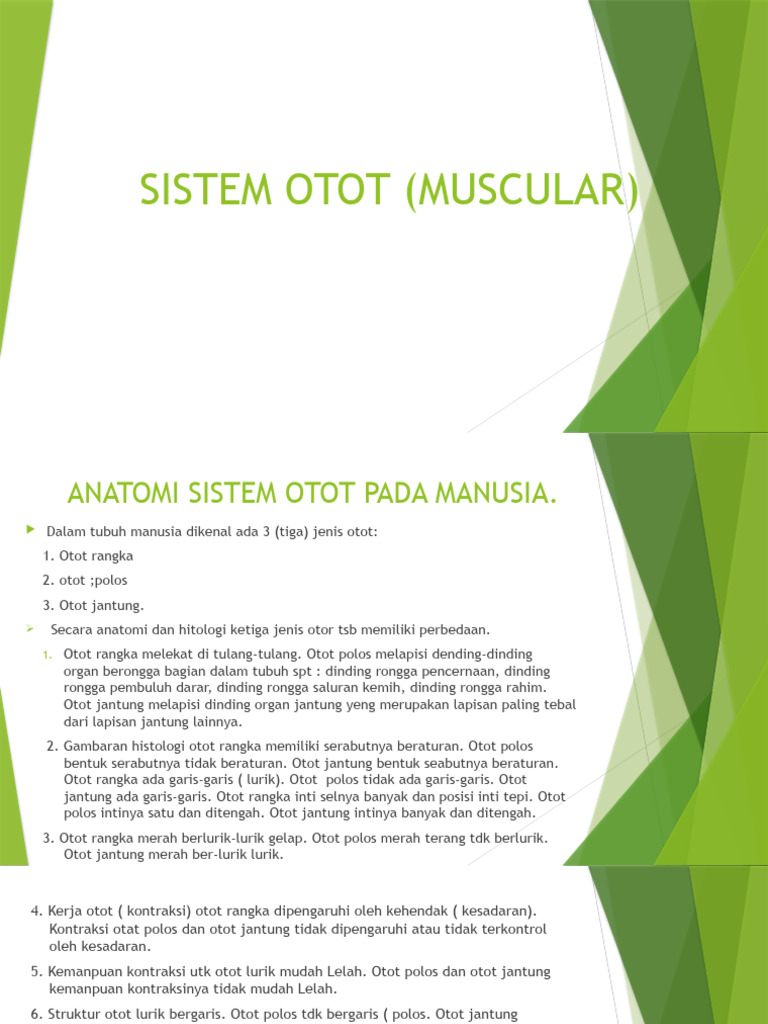 Anatomi Fisiologi Sistem Otot) | PDF