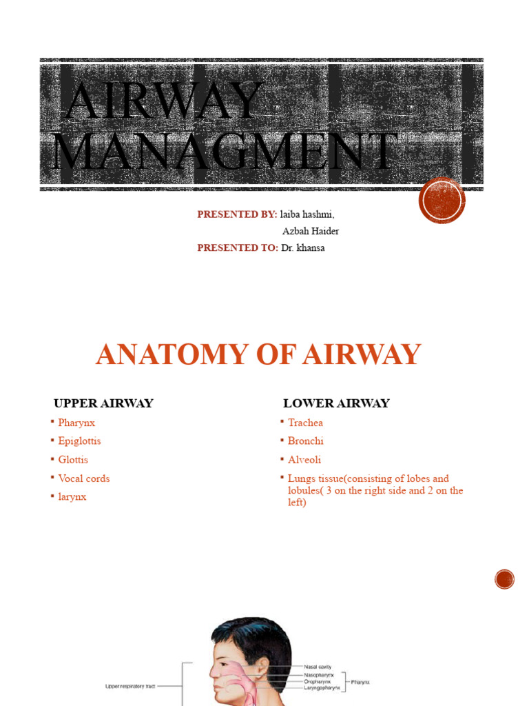 Airway Managment | Download Free PDF | Respiratory Tract | Lung
