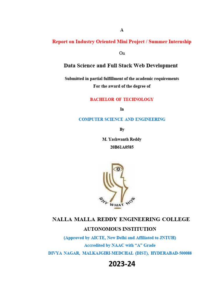 Internship Report 585 | PDF | World Wide Web | Internet & Web