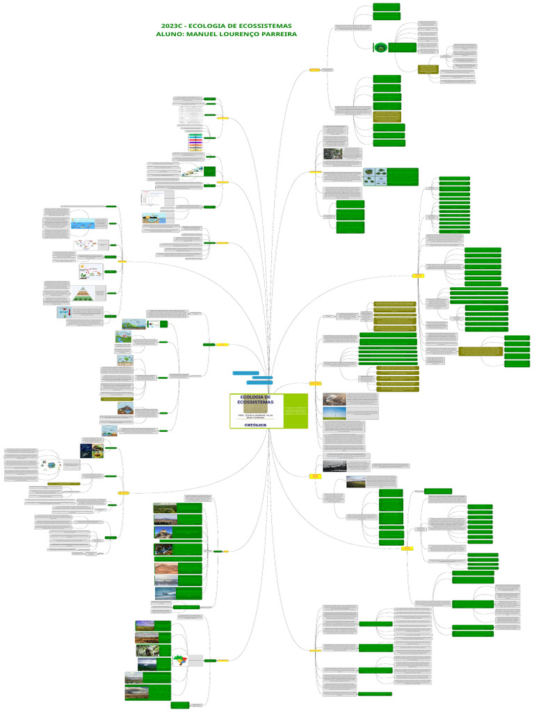 Mapa Mental Ecologia de Ecossistemas Rev A | PDF | Habitat | Ecologia