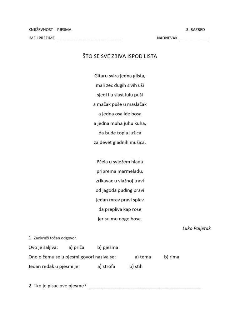 ICSR - 3 - Luko Paljetak | PDF