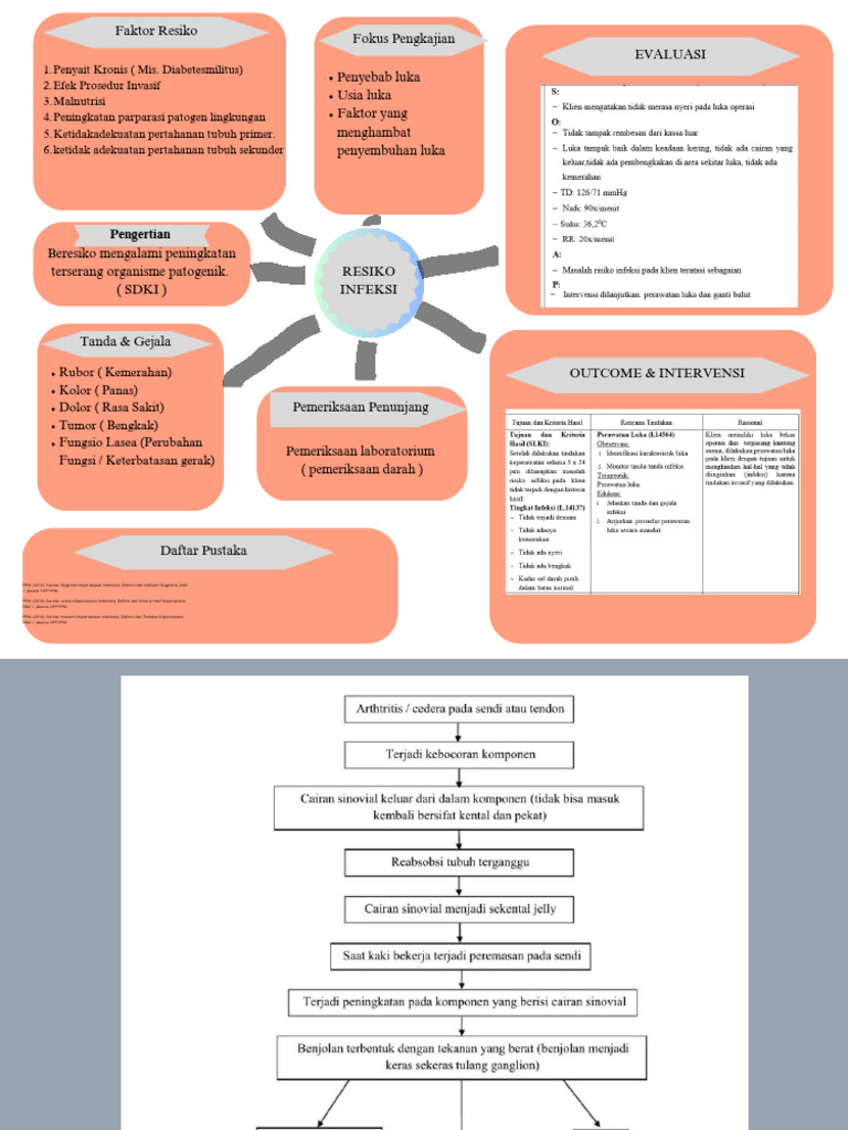 Resiko Infeksi | PDF