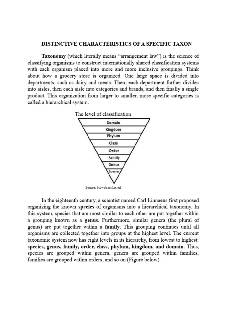 Taxonomy Notes | PDF | Taxonomy (Biology) | Genus