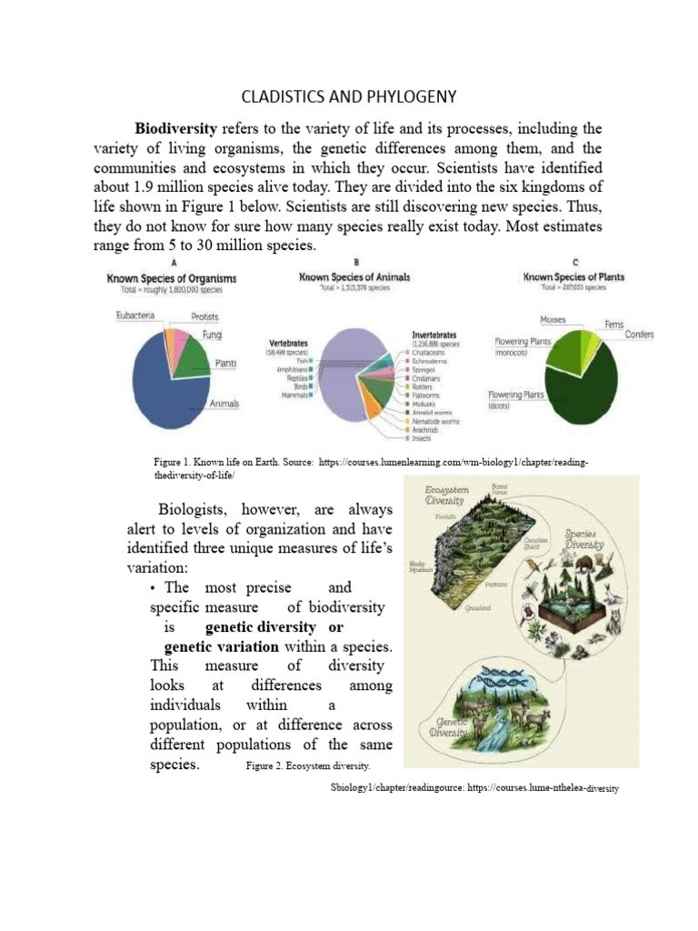 Cladistics and Phylogeny - Notes | PDF | Phylogenetic Tree | Clade