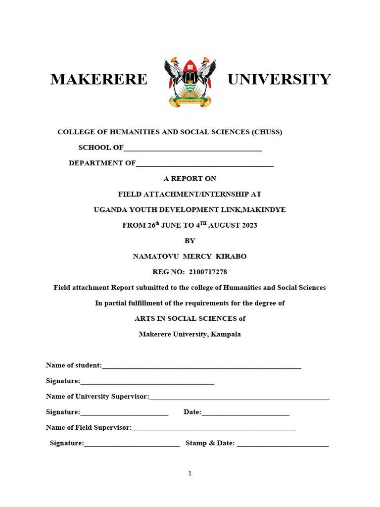 Internship Report Pdf Mentorship Empowerment