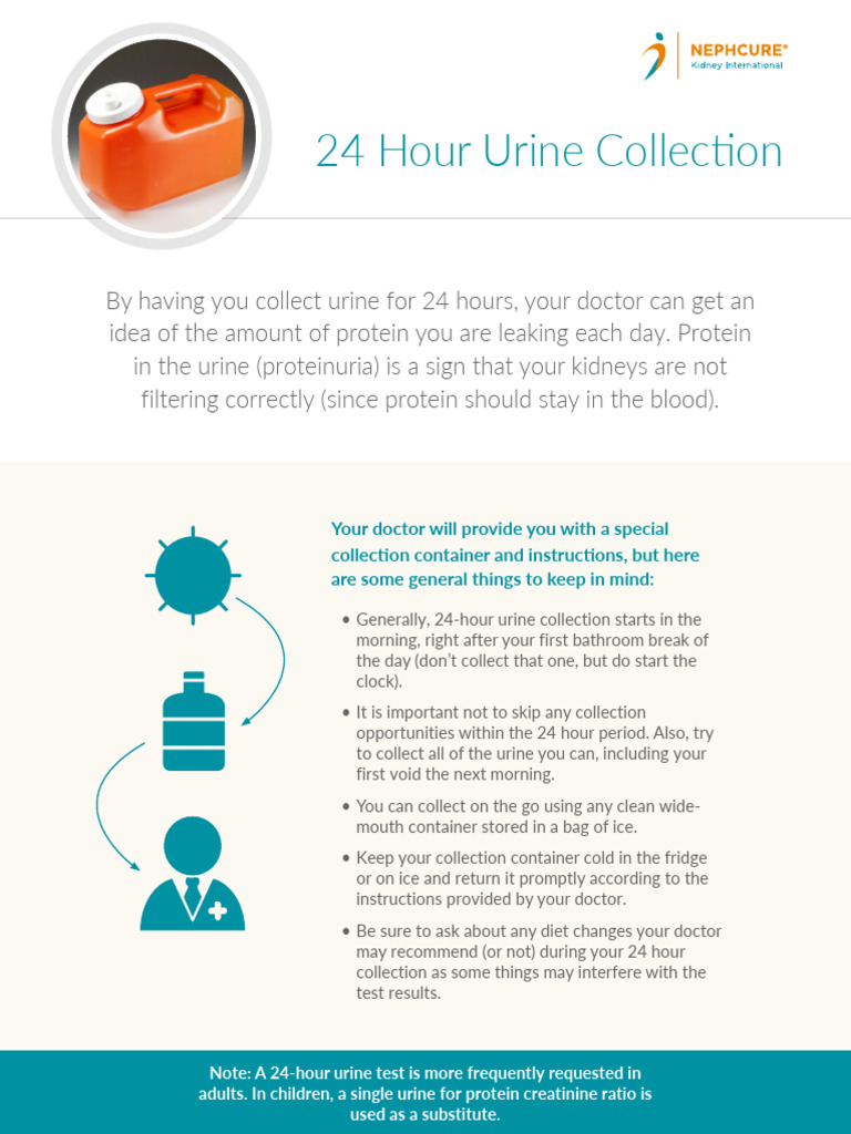 24 Hour Urine One Sheet | PDF