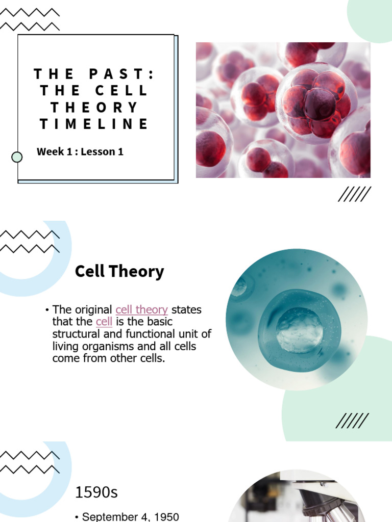 The Cell Theory Timeline | PDF | Dna | Cell (Biology)