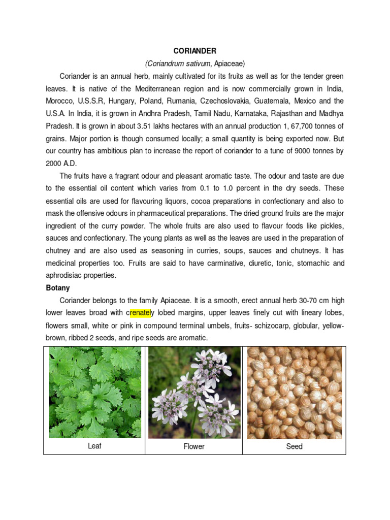 Lec 05 | PDF | Sowing | Coriander
