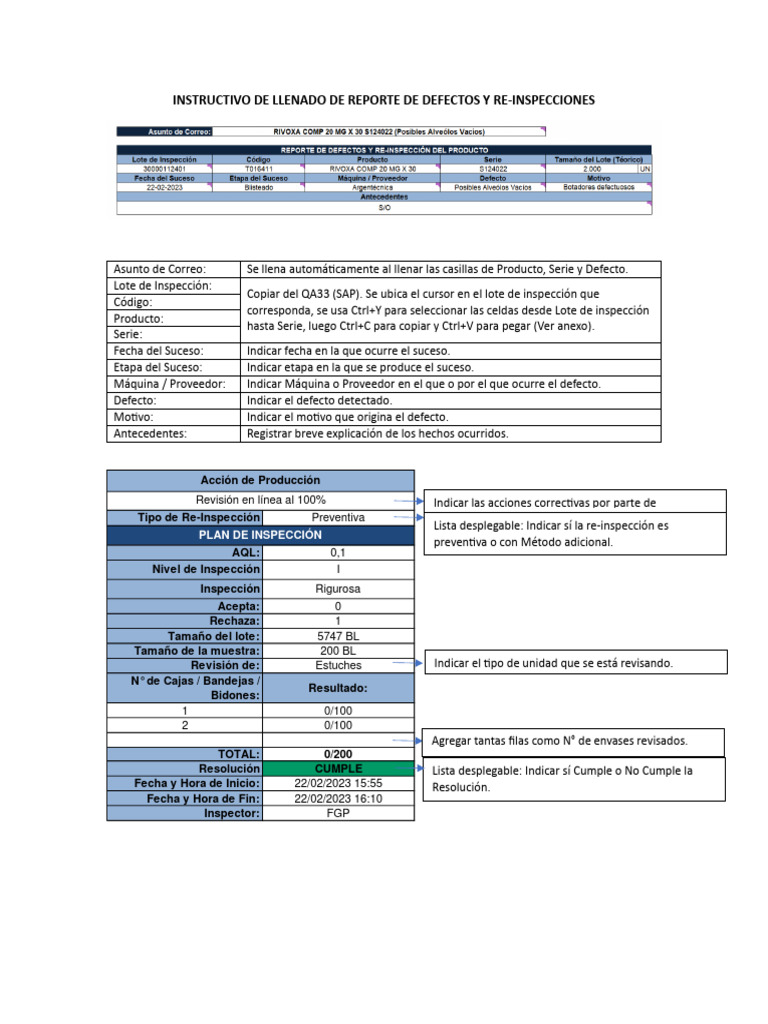 Instructivo de Reporte de Defectos | PDF