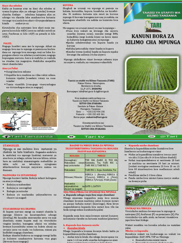 Kanuni Bora Za Kilimo Cha Mpunga: Taasisi Ya Utafiti Wa Kilimo Tanzania ...