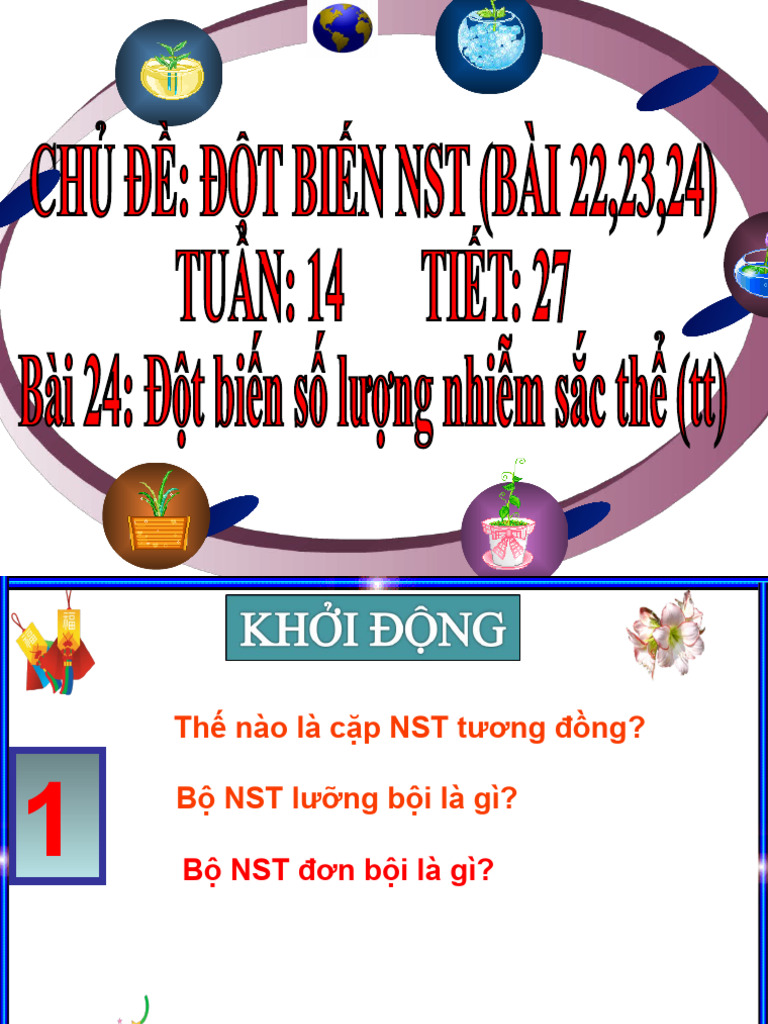Bai 24 Dot Bien So Luong Nhiem Sac The Tiep Theo | PDF