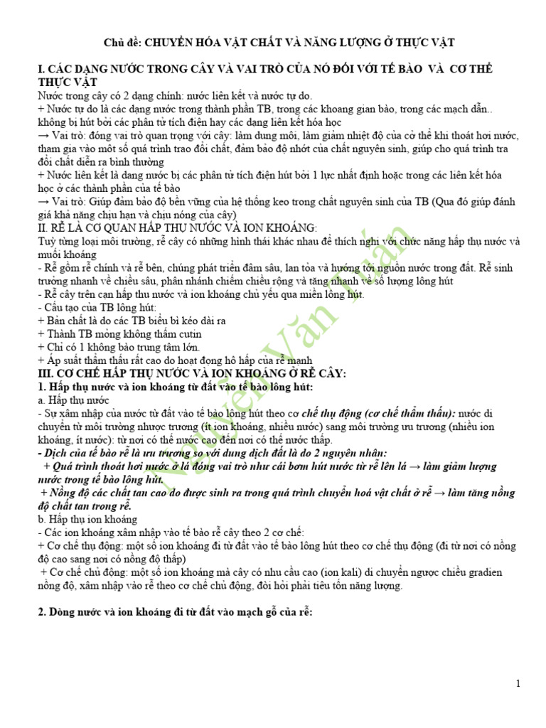 Sinh Ly TV - Tuan | PDF