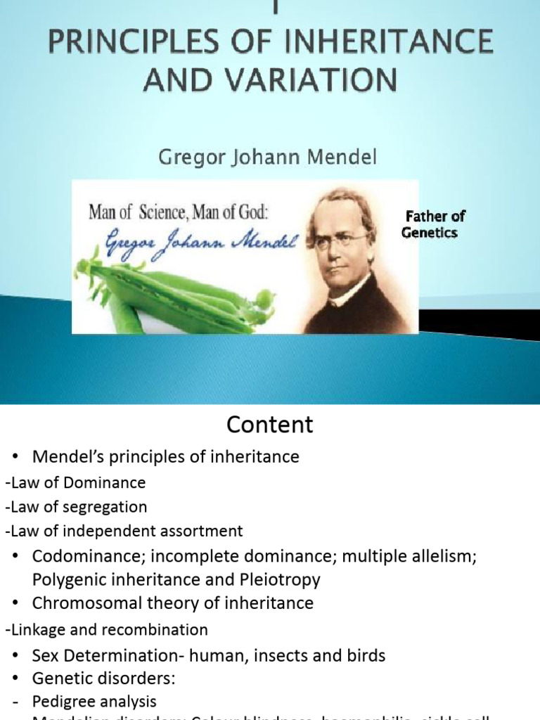 CL 12 Bio Chapter-5 Principle of Inheritance and Variation | PDF | Dominance (Genetics) | Genotype