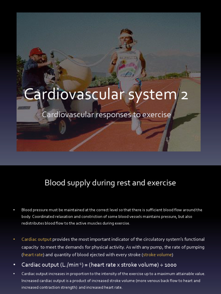 Cardiovascular System 2: Cardiovascular Responses To Exercise | PDF ...