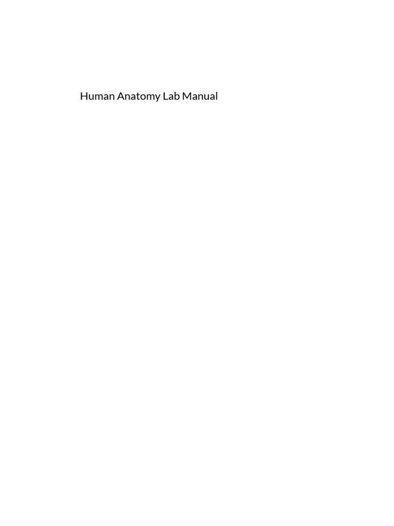 Human Anatomy Lab Manual 1612818025. - Print | PDF | Spinal Cord ...