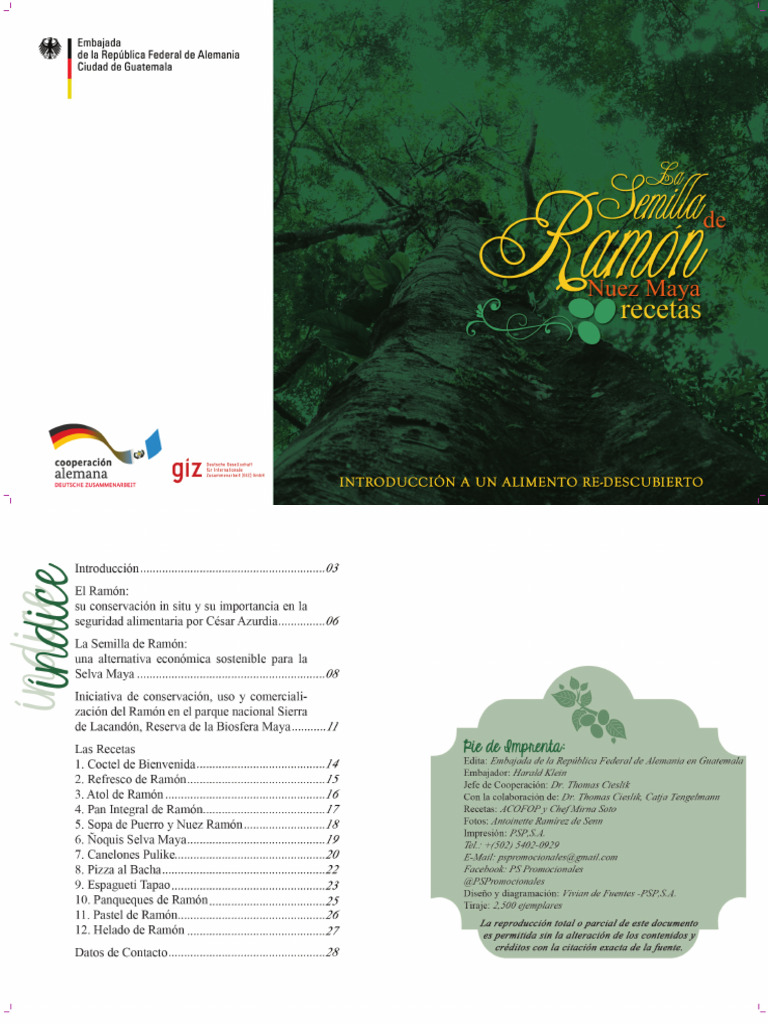 Recetario de Semilla de Ramón | PDF