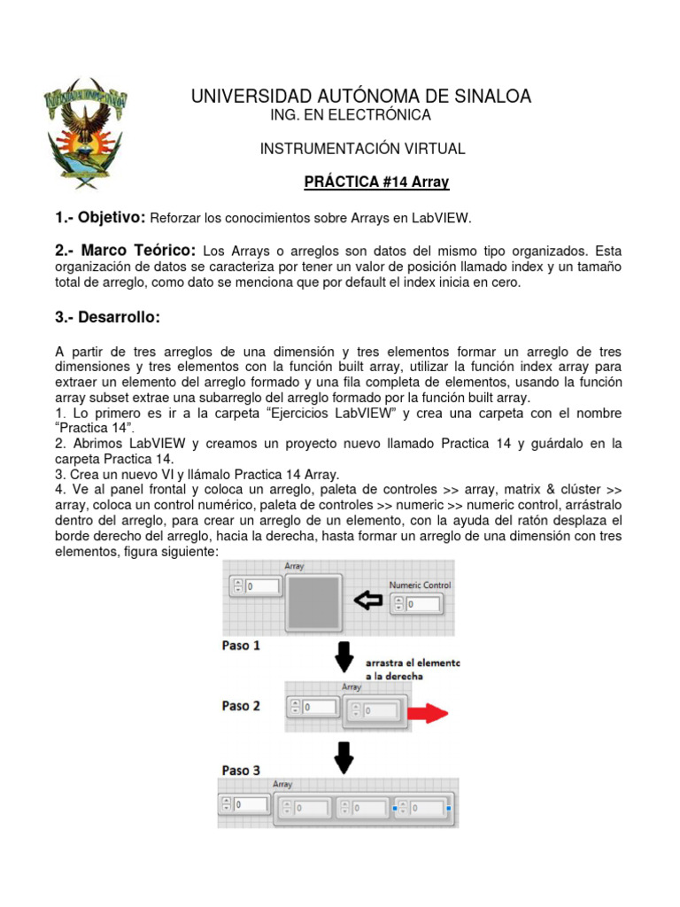 P14 Array | PDF | Programación de computadoras | Informática