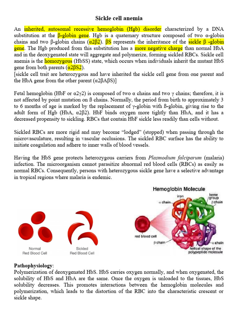 Sickle Cell Anemia | PDF | Red Blood Cell | Tissue (Biology)